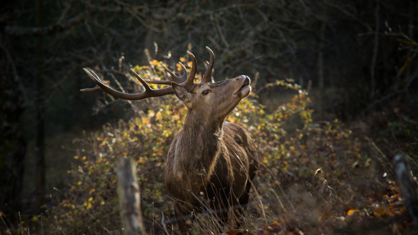 10 Best National Parks in Italy - From Cinque Terre to Gran Sasso
