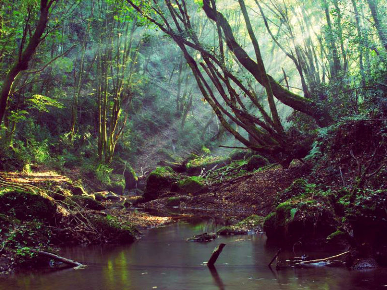 10 Hiking Spots Around Rome Italy - Hiking Trails Near Rome