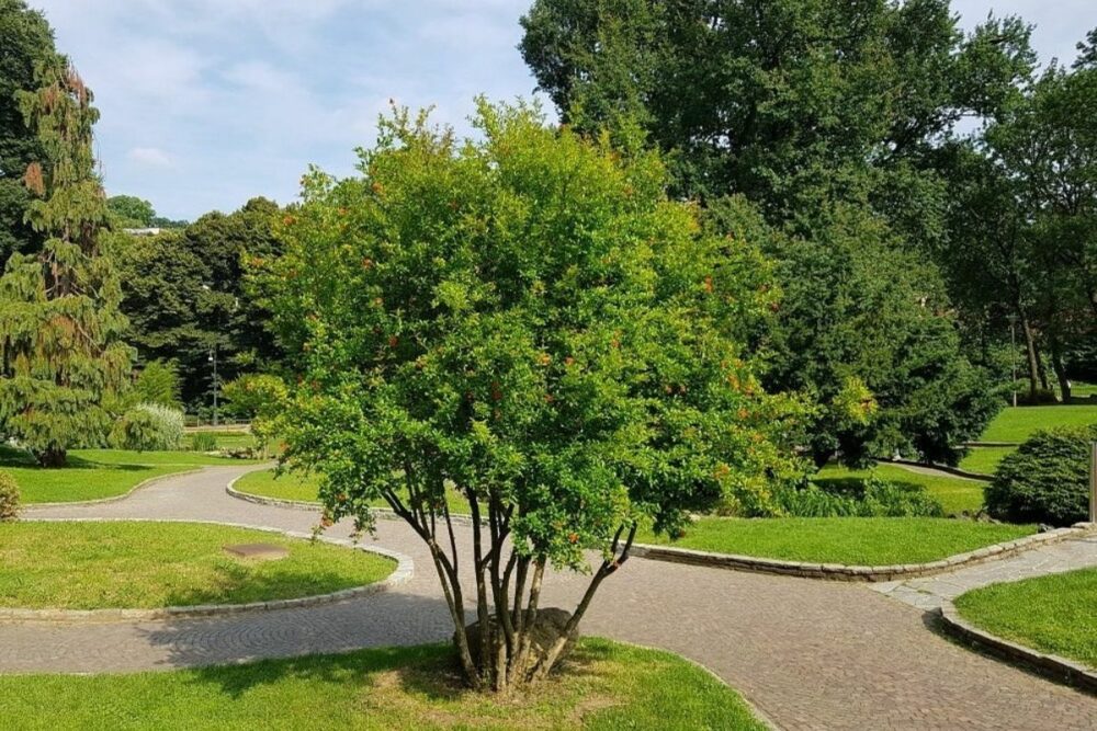 15 Best Things to do in Torino Italy - Things to do in Turin | IB